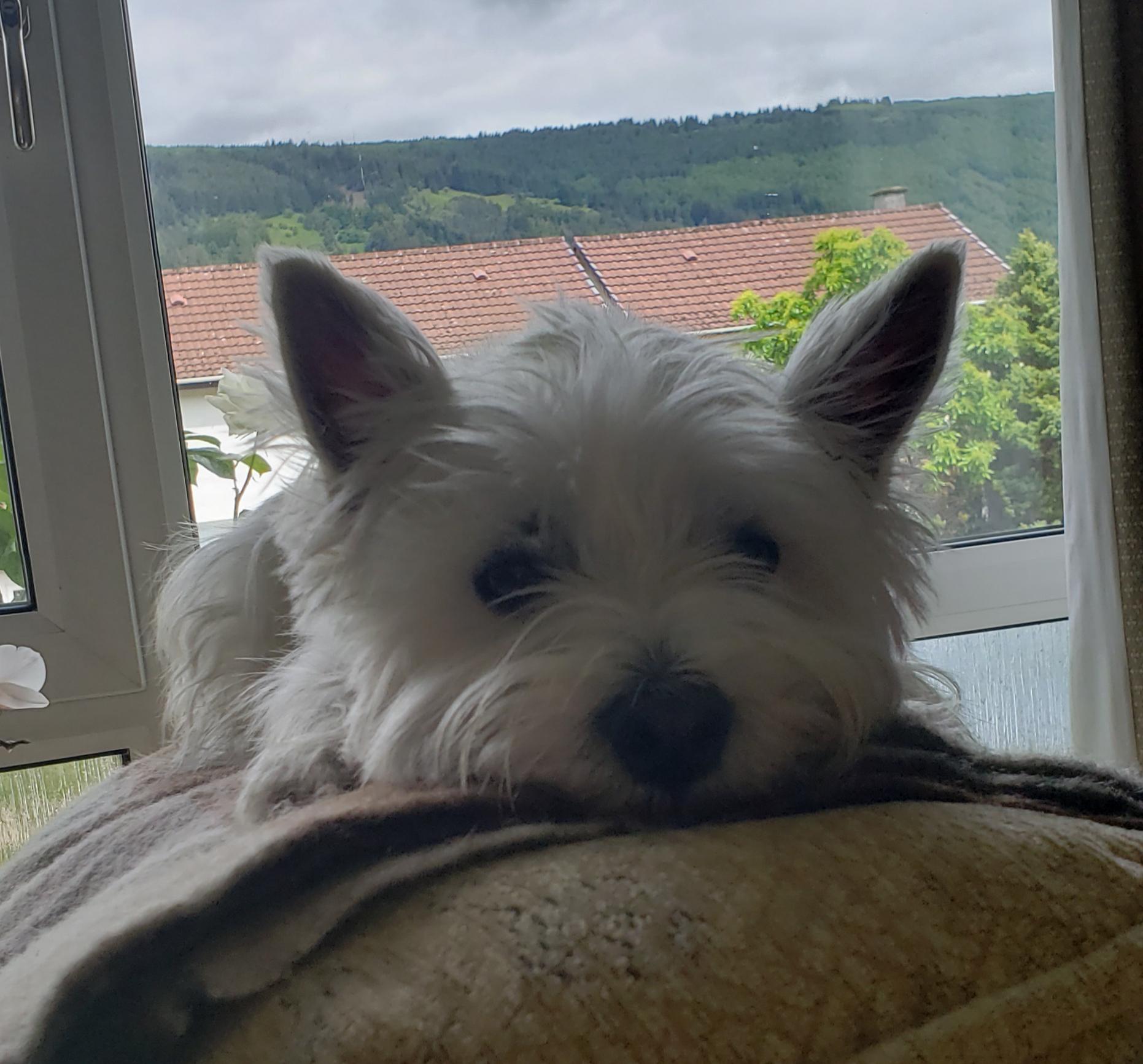 Just chilling... | Scrolller