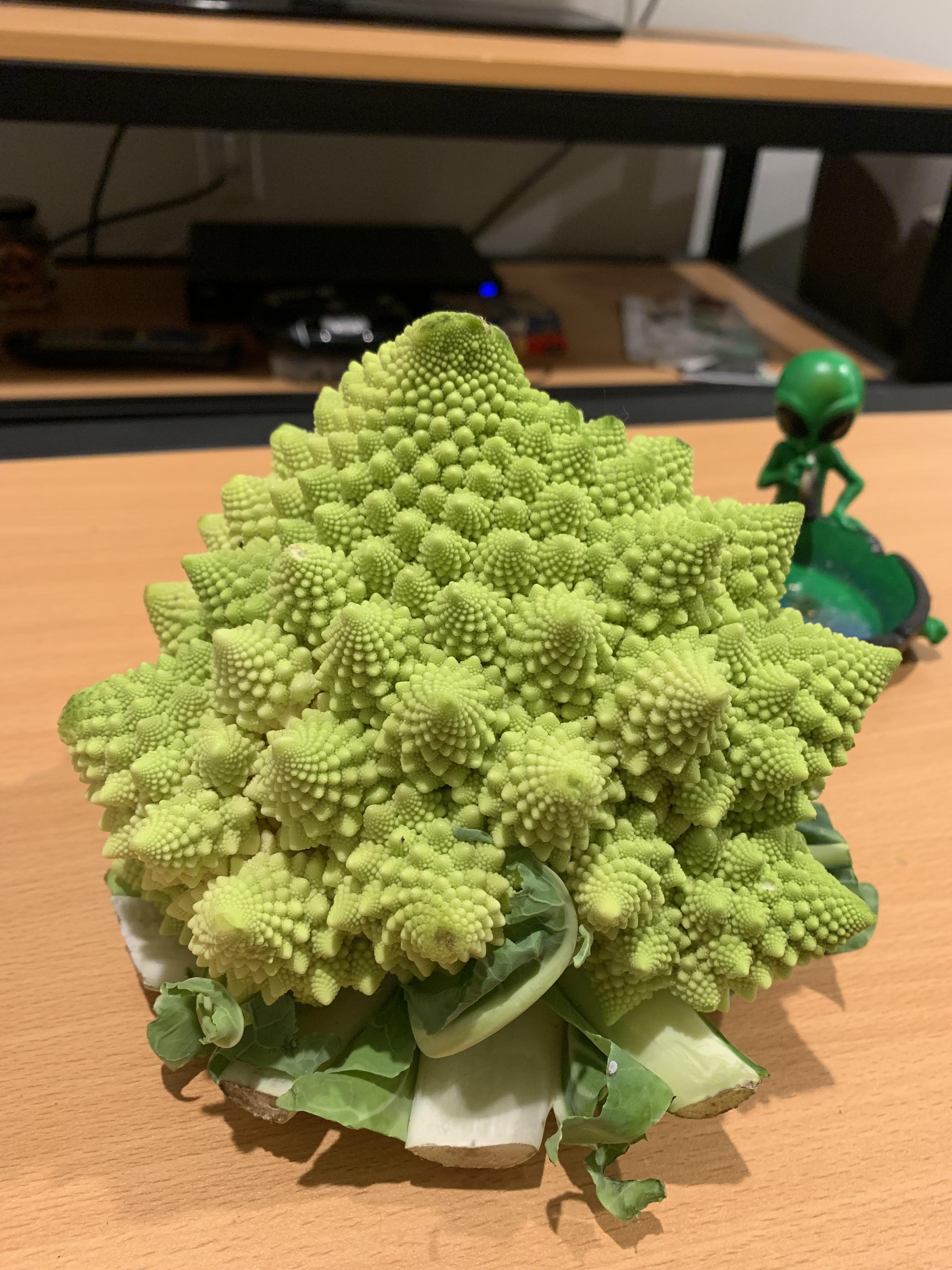 Just discovered the trippiest vegetable- romanesco broccoli | Scrolller