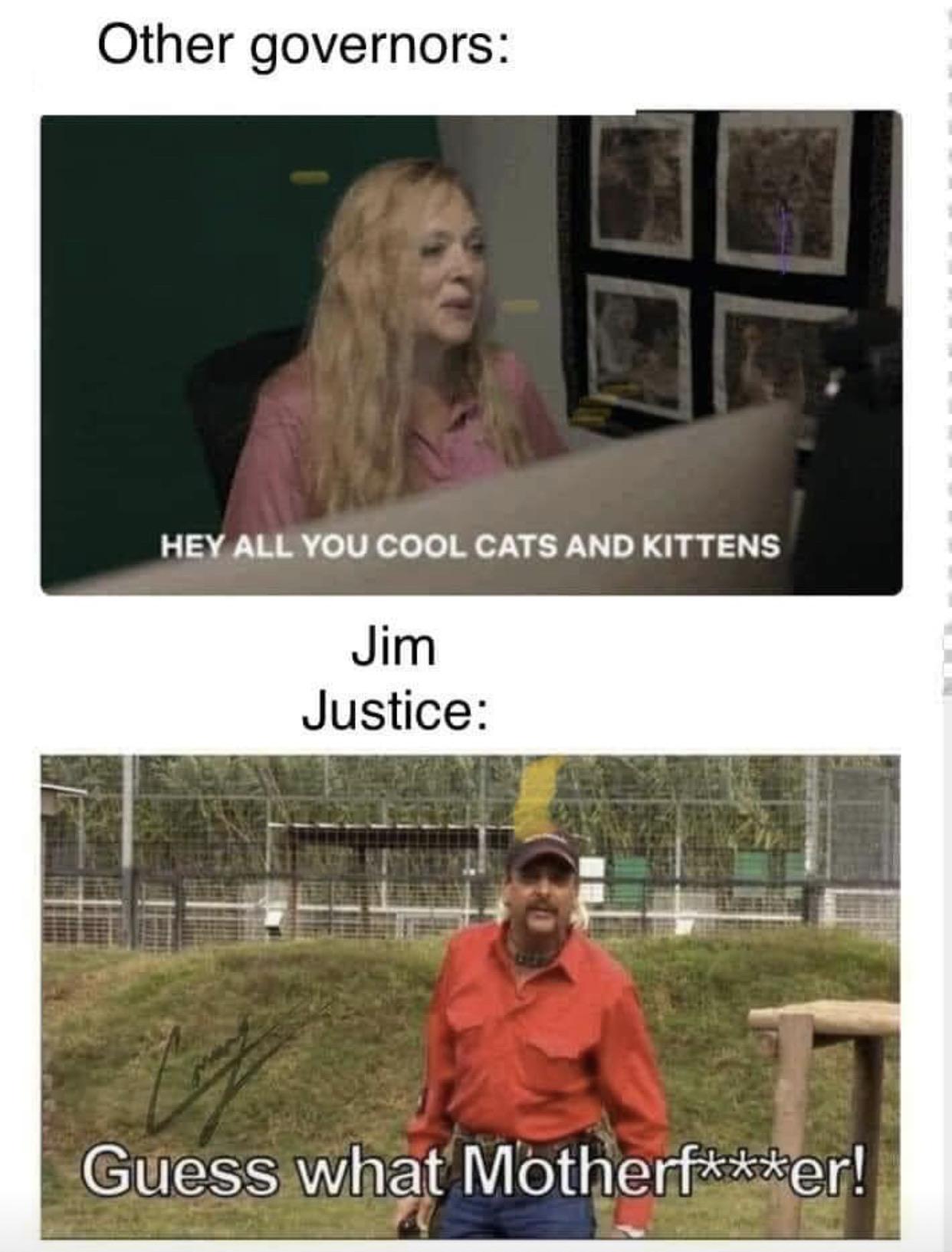 Just follow the guidelines | Scrolller