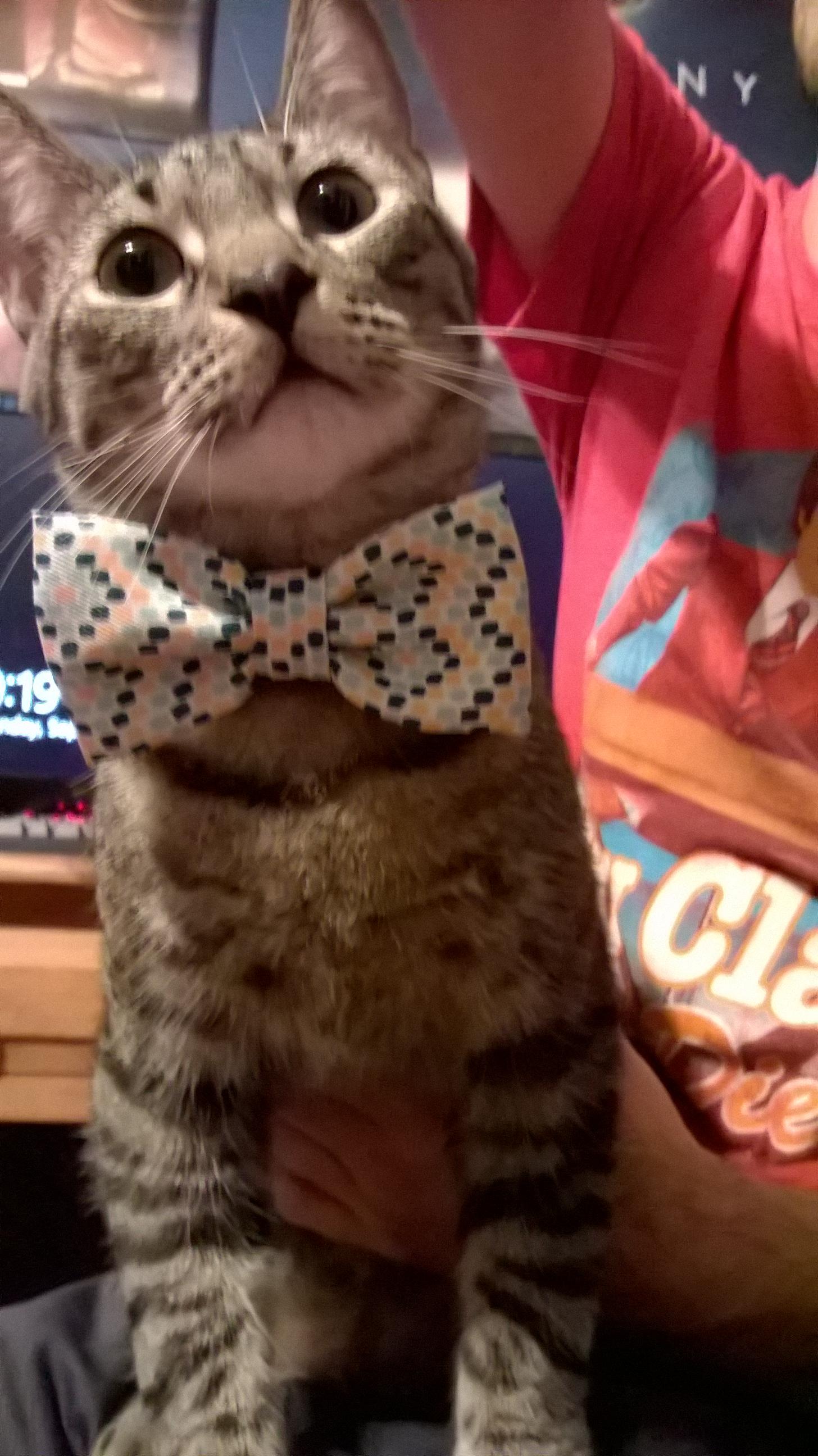 Just look at the camera Donny | Scrolller