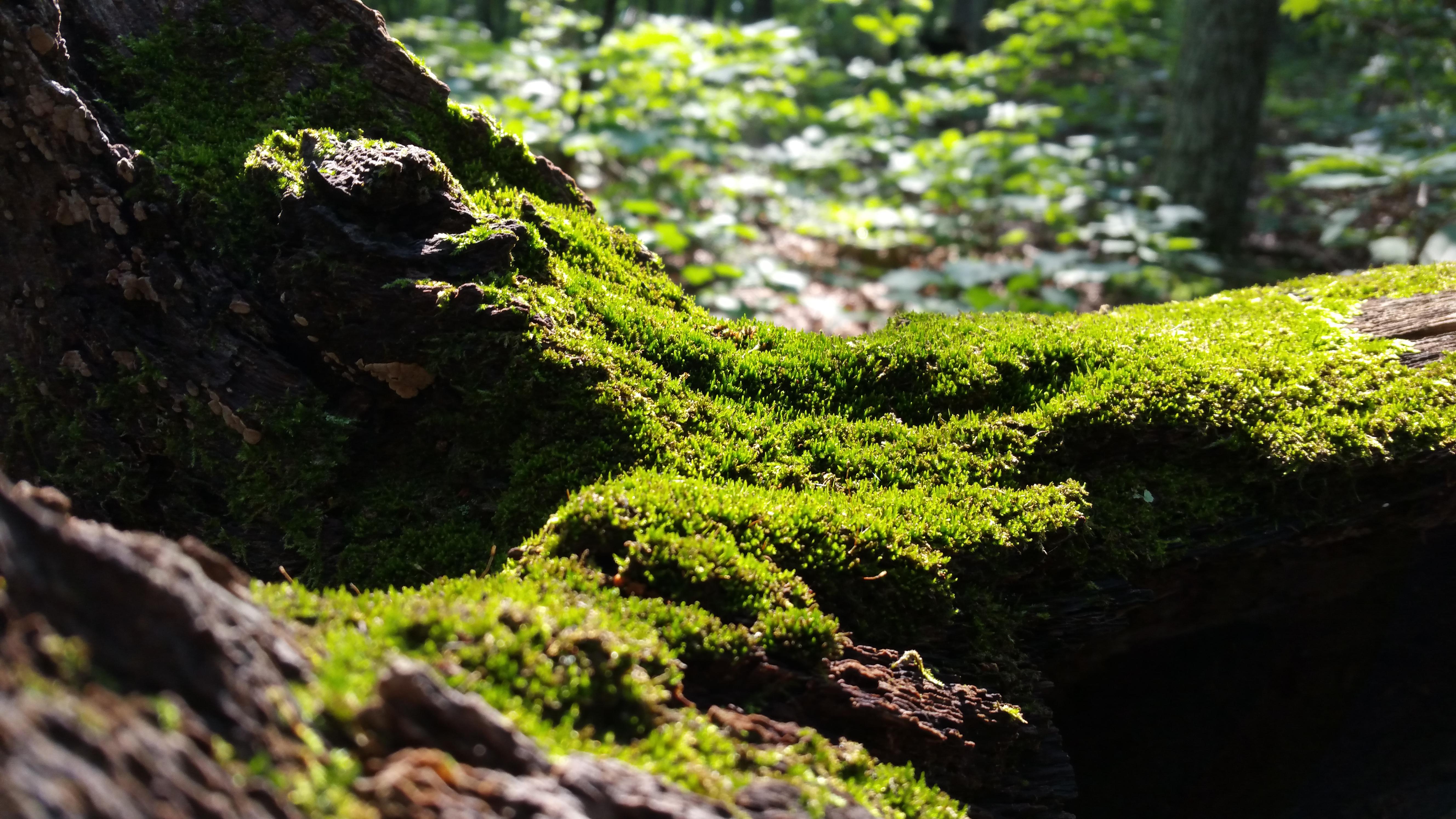 Just over the mountain | Scrolller