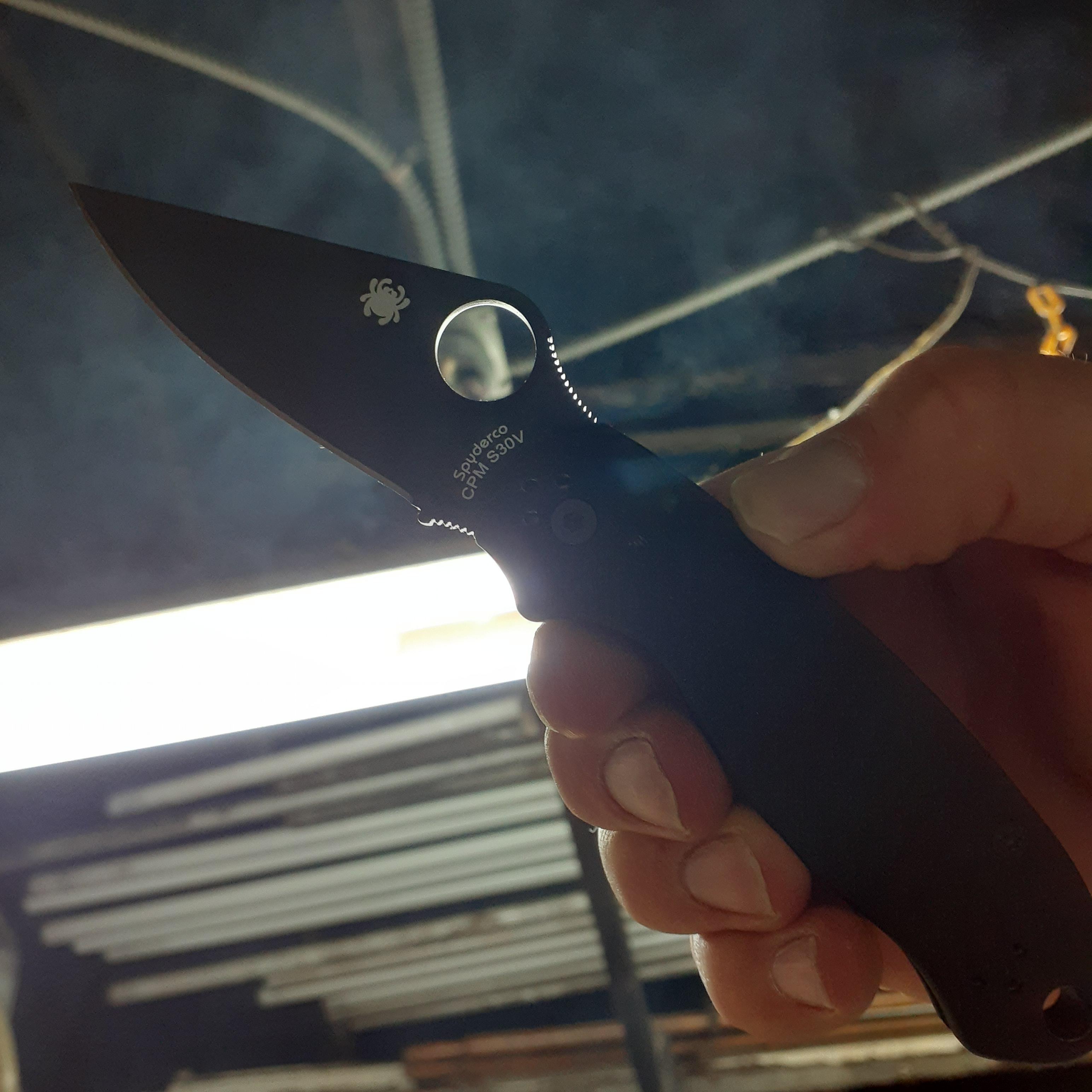 Just picked up this bad boy | Scrolller