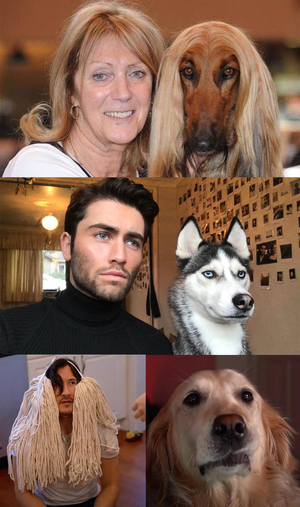 Just some dog owners who look like their dogs | Scrolller