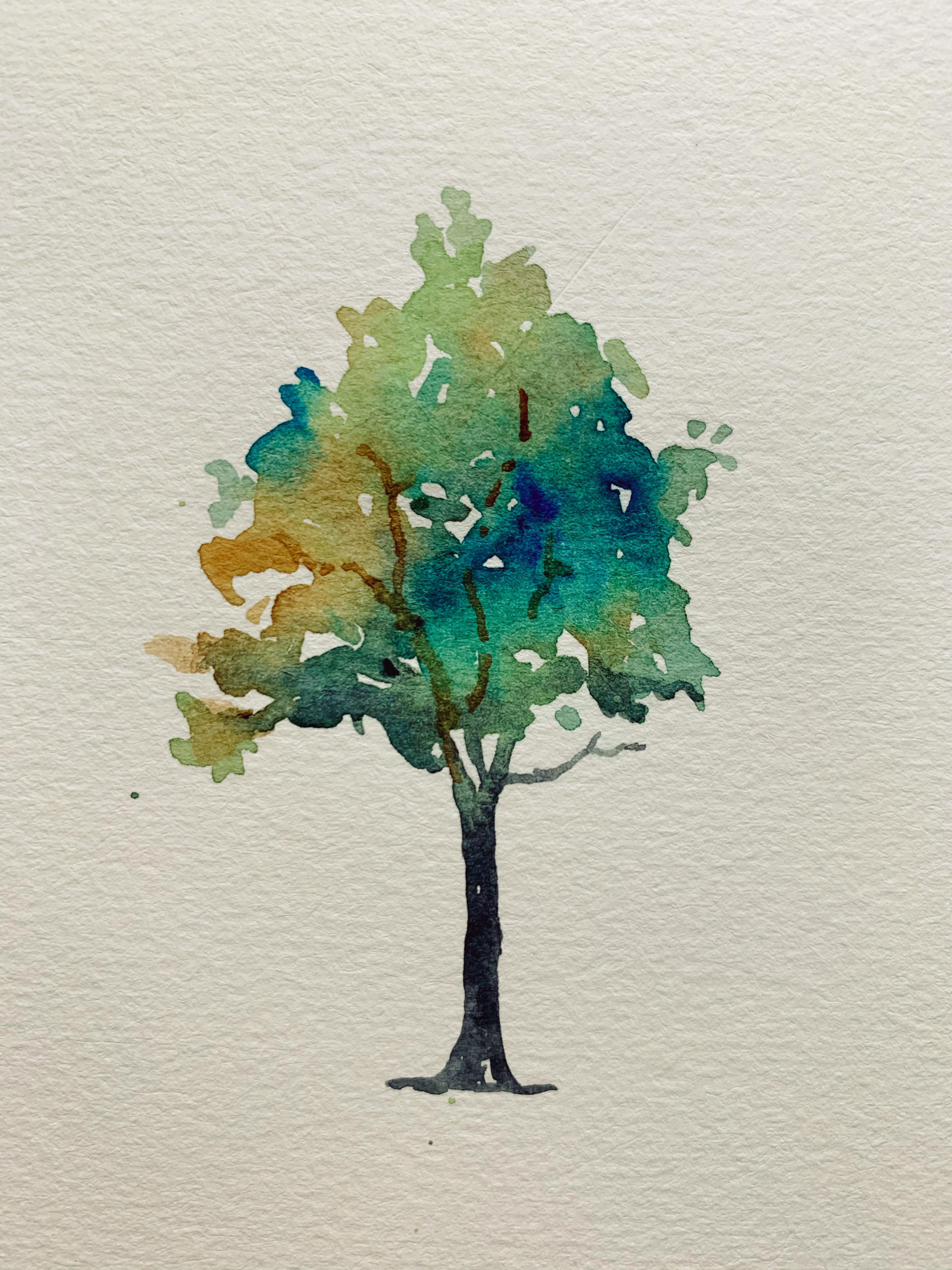 just some tree. | Scrolller