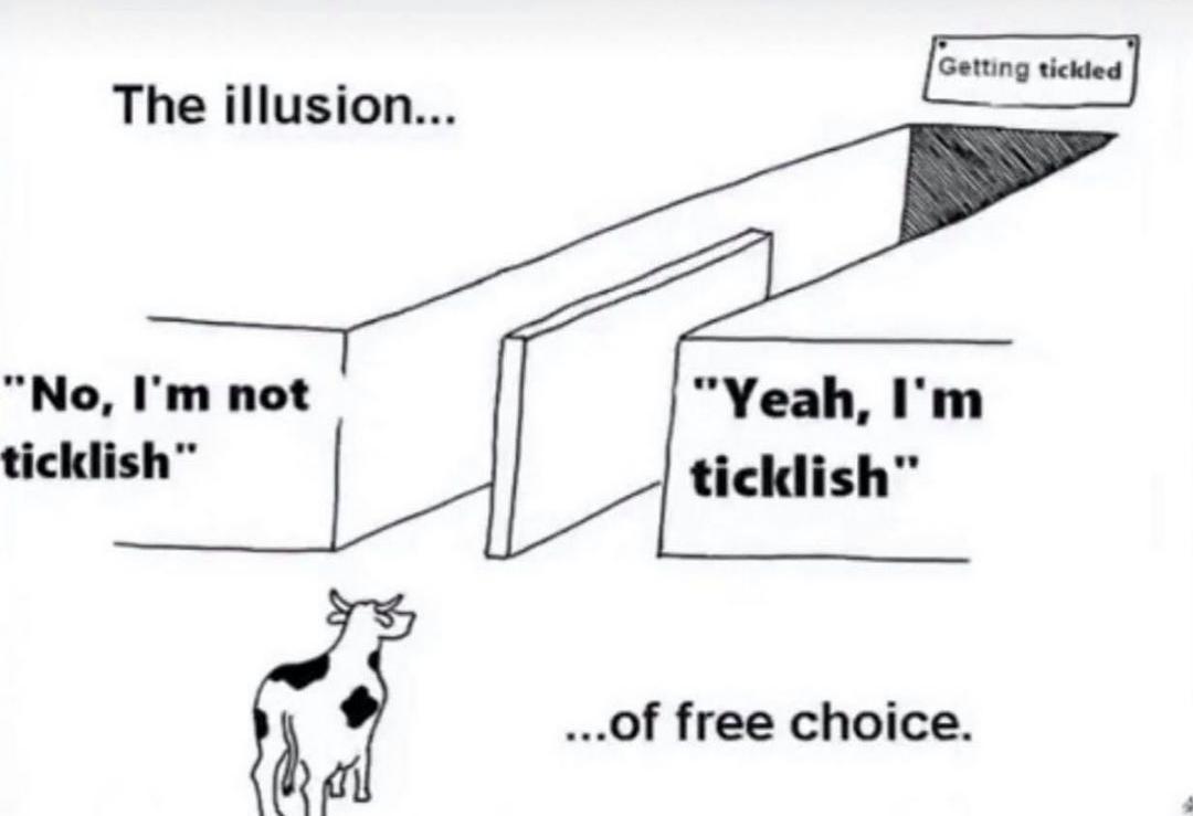 Just suffering | Scrolller