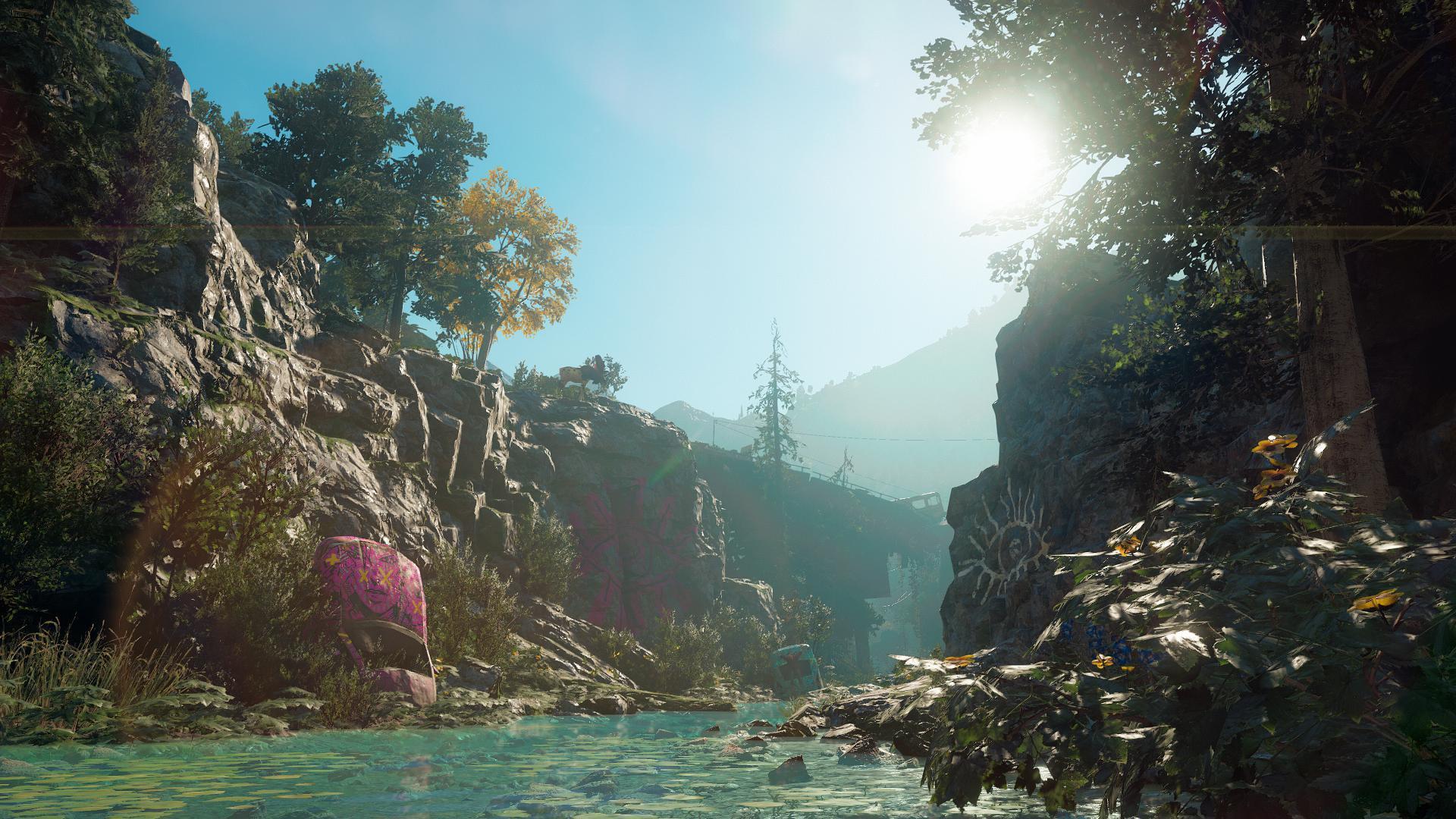 Just took this pic in the start of new dawn... | Scrolller