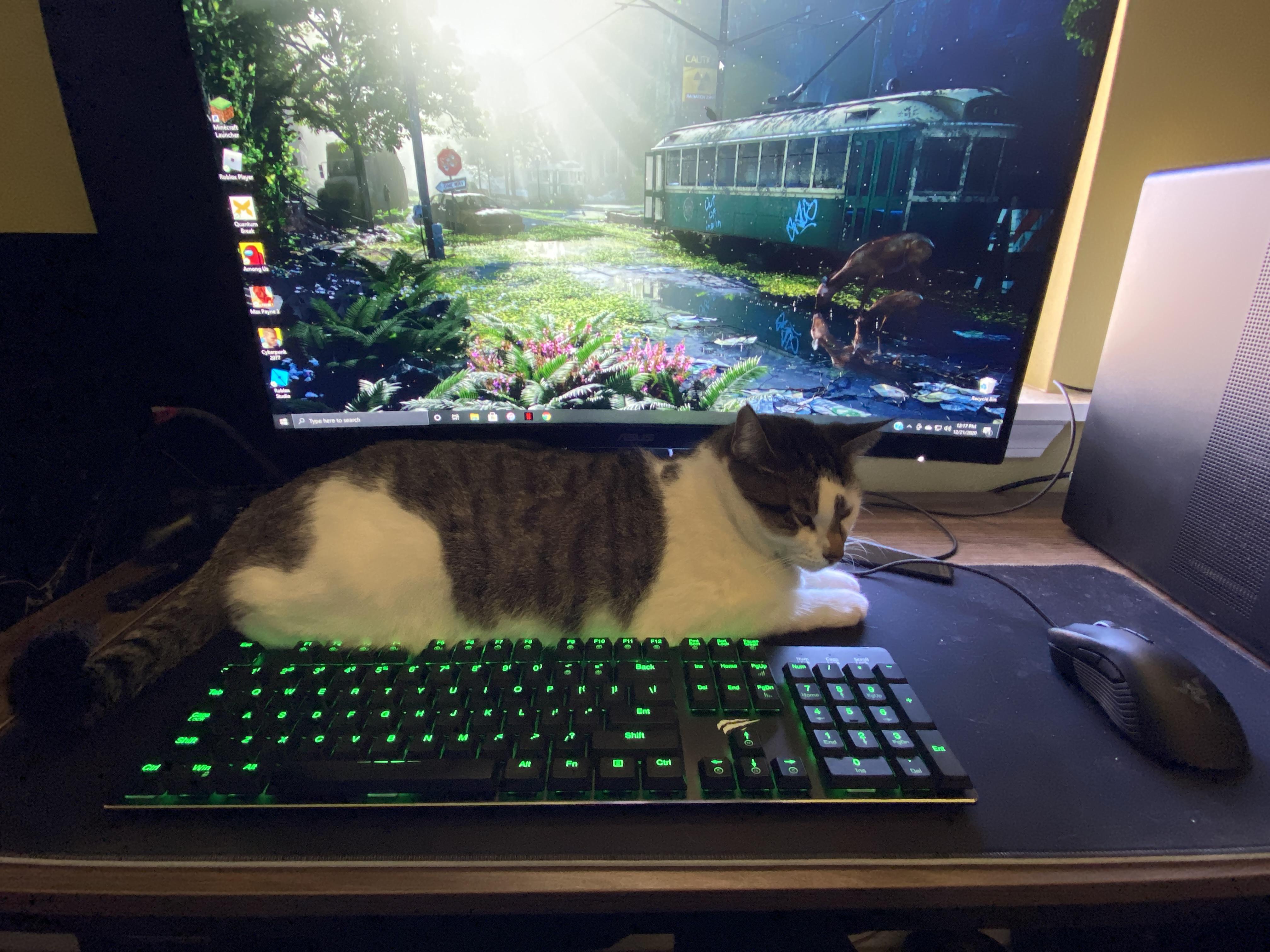 Just vibin | Scrolller