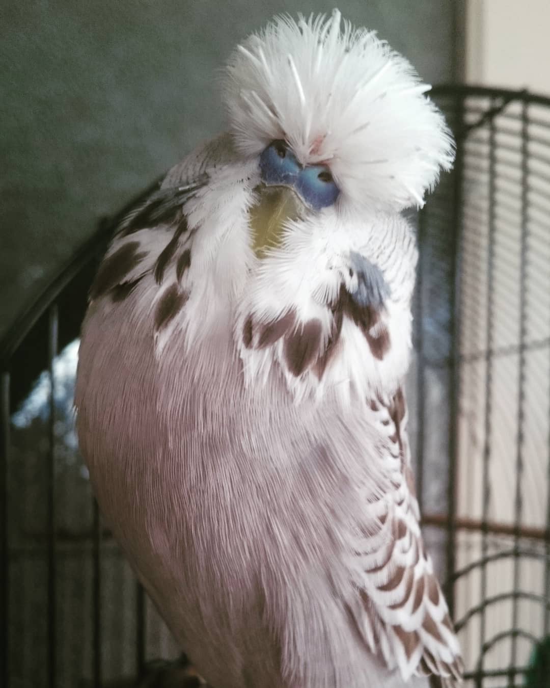 Just vibin' | Scrolller