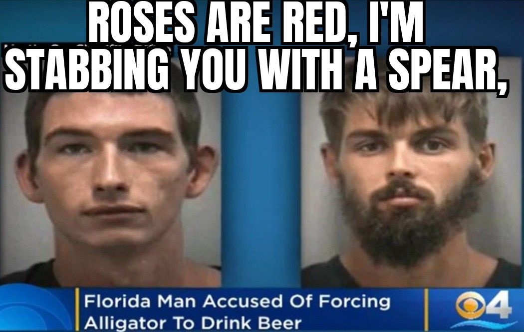 Just your average day in Florida | Scrolller