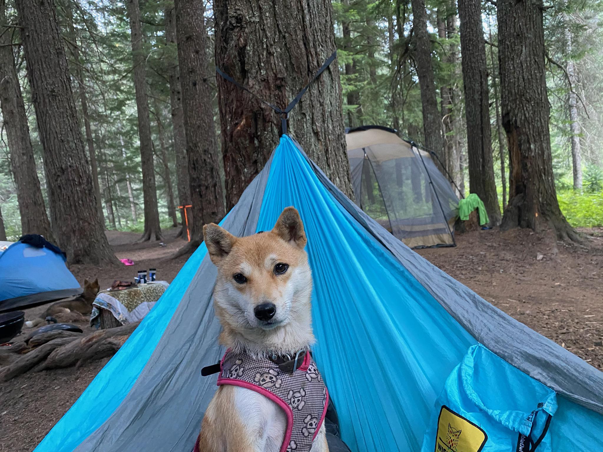 Kadas first Camp trip🤗 | Scrolller