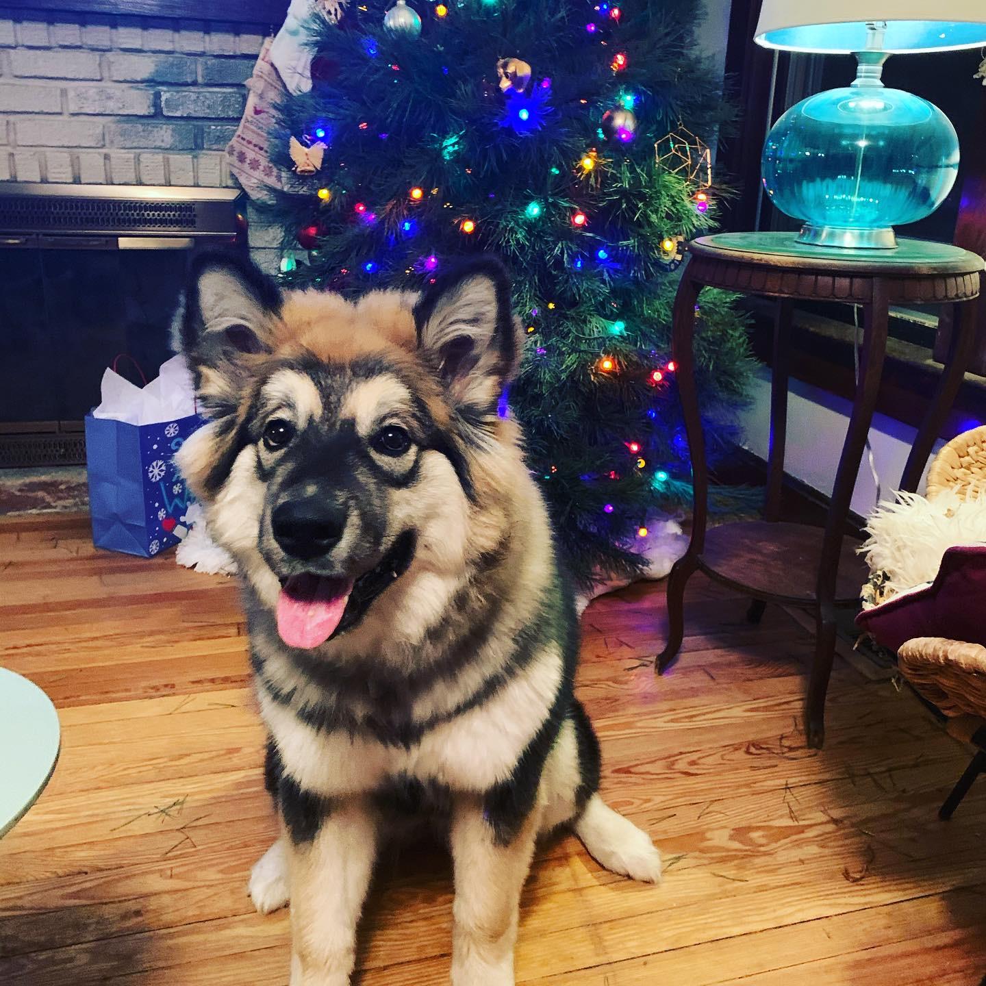 Kaia At 6 Mo Old Scrolller