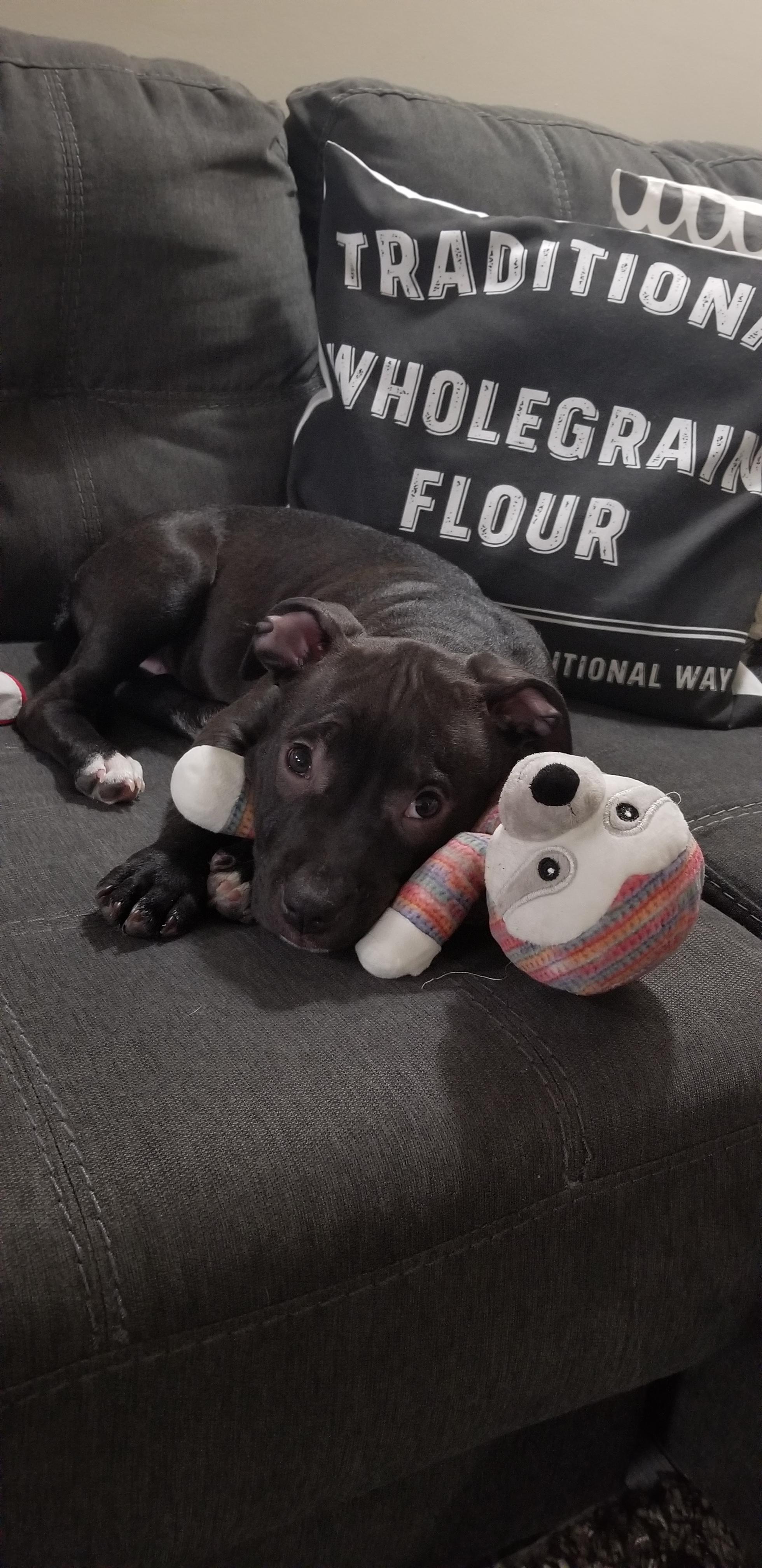 Kaia, snugging her teddy 🐻 | Scrolller