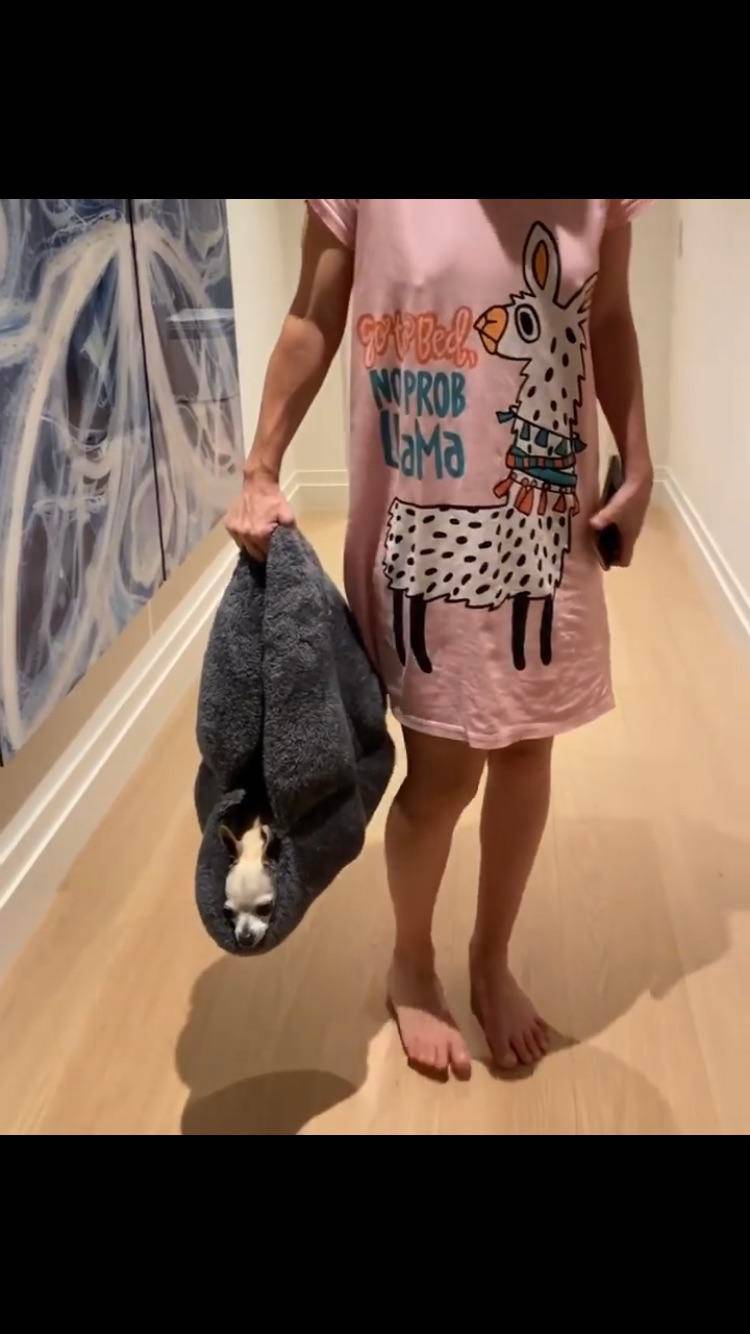 Kaley and Dumpy..she looks cold | Scrolller