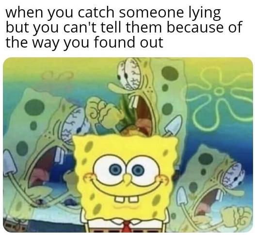 Kamikaze exposer | Scrolller