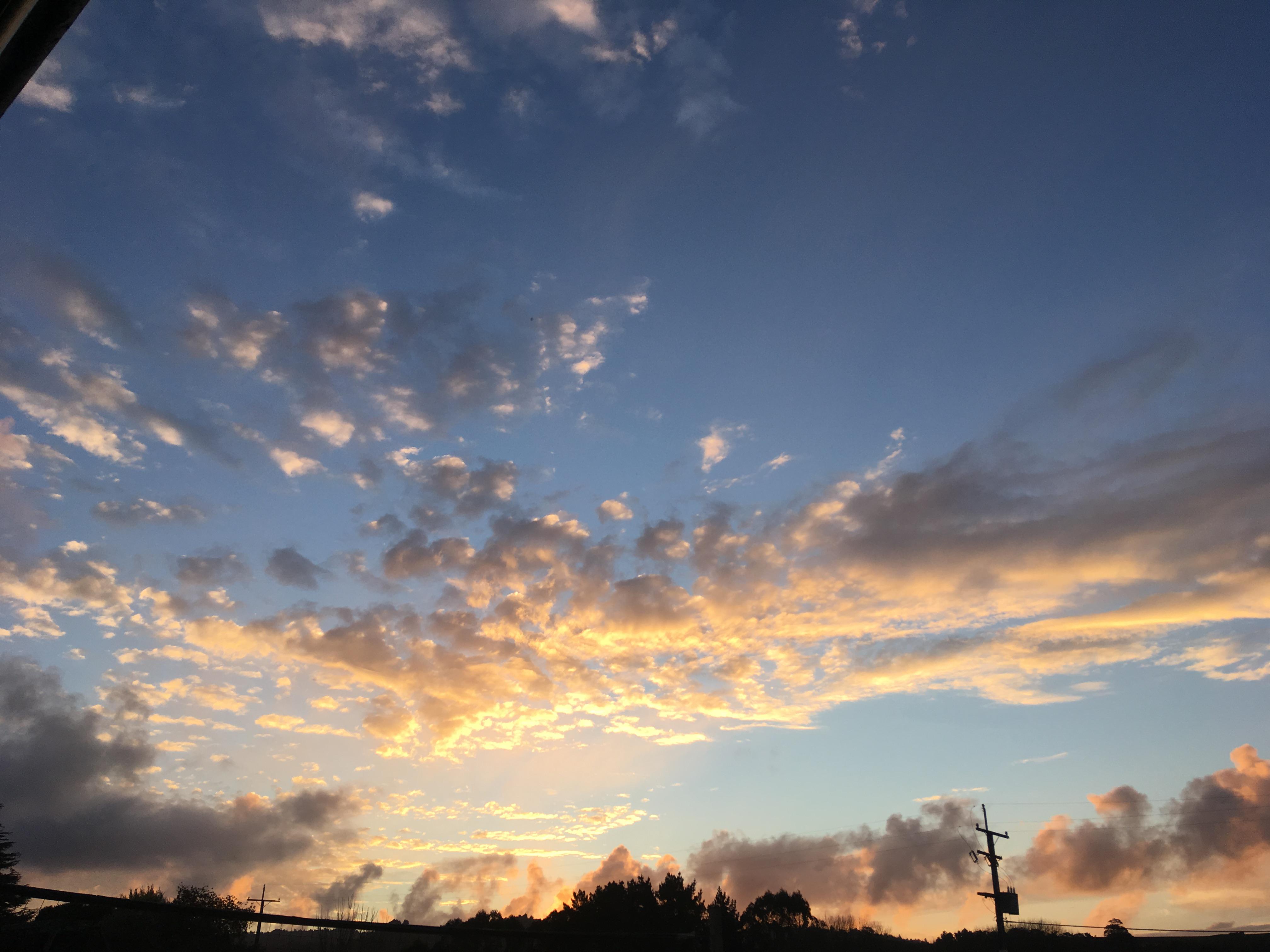 Karakariki sunset | Scrolller