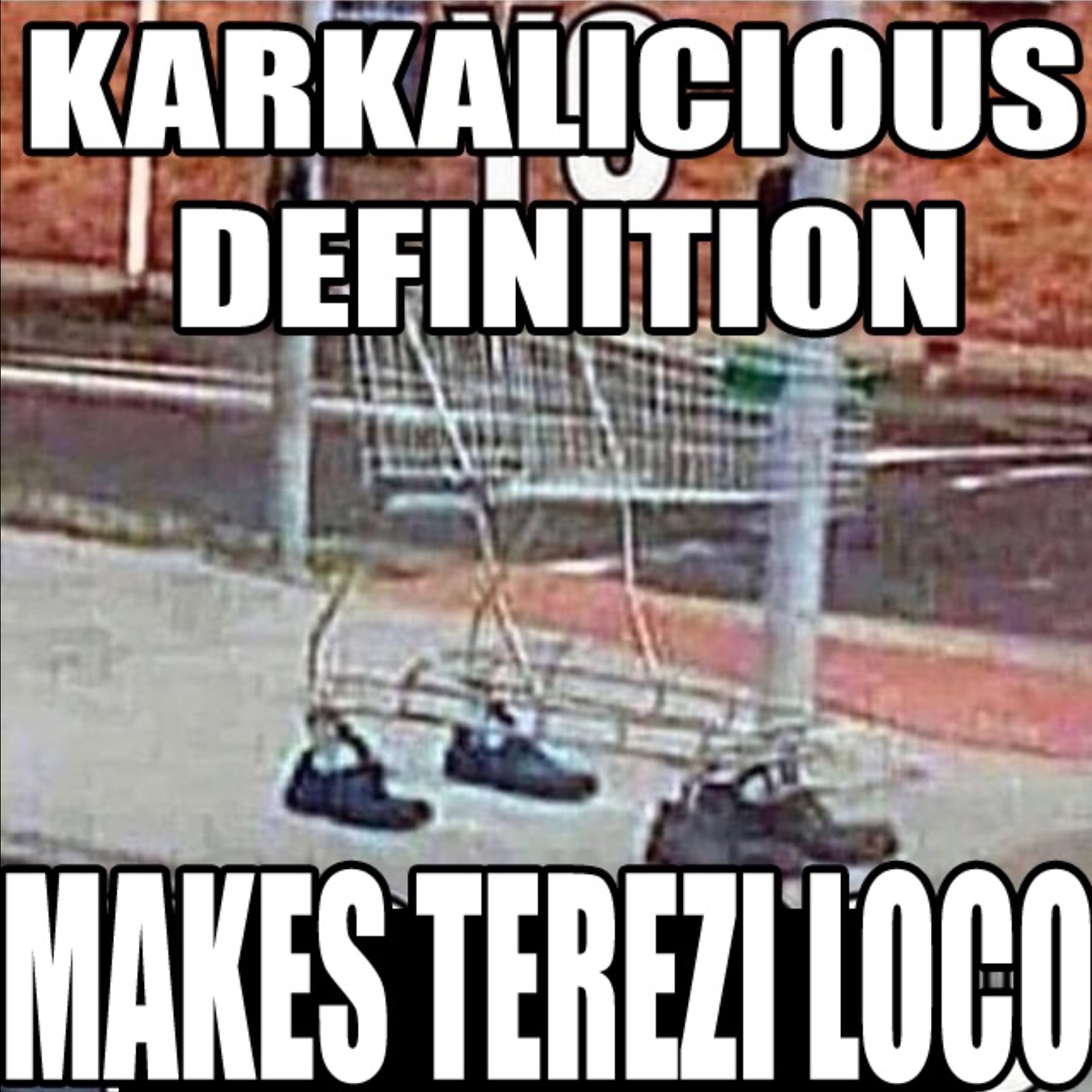 karkalicious shopping cart | Scrolller