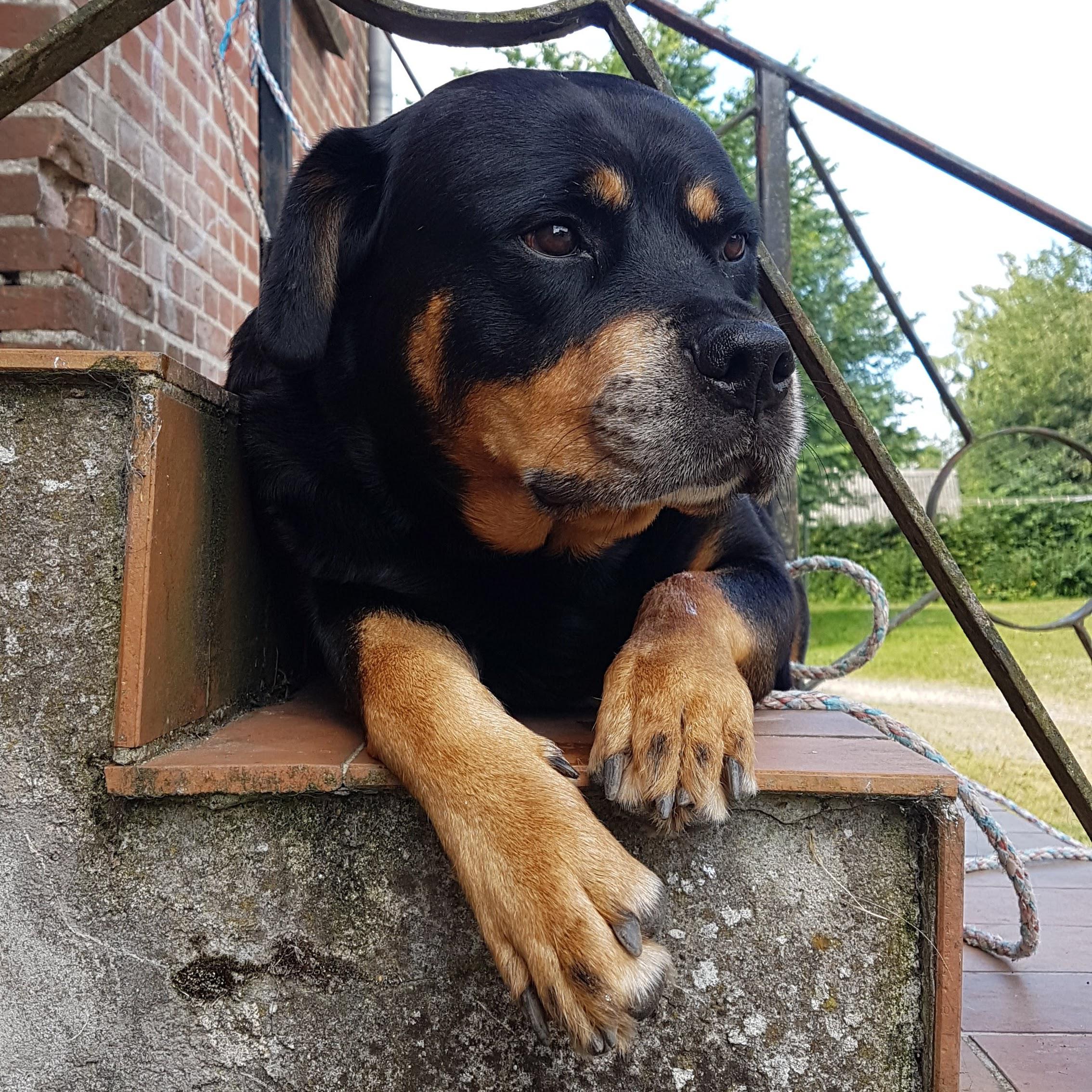 Karla at her favourite spot on the farm | Scrolller