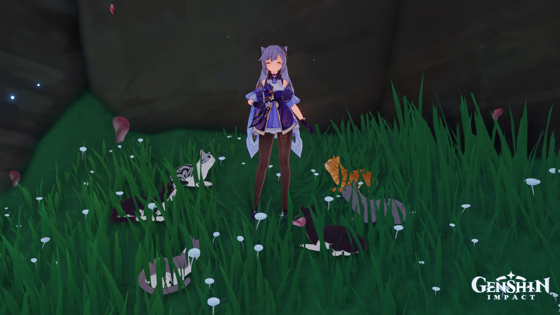 Keqing, the cat archon | Scrolller