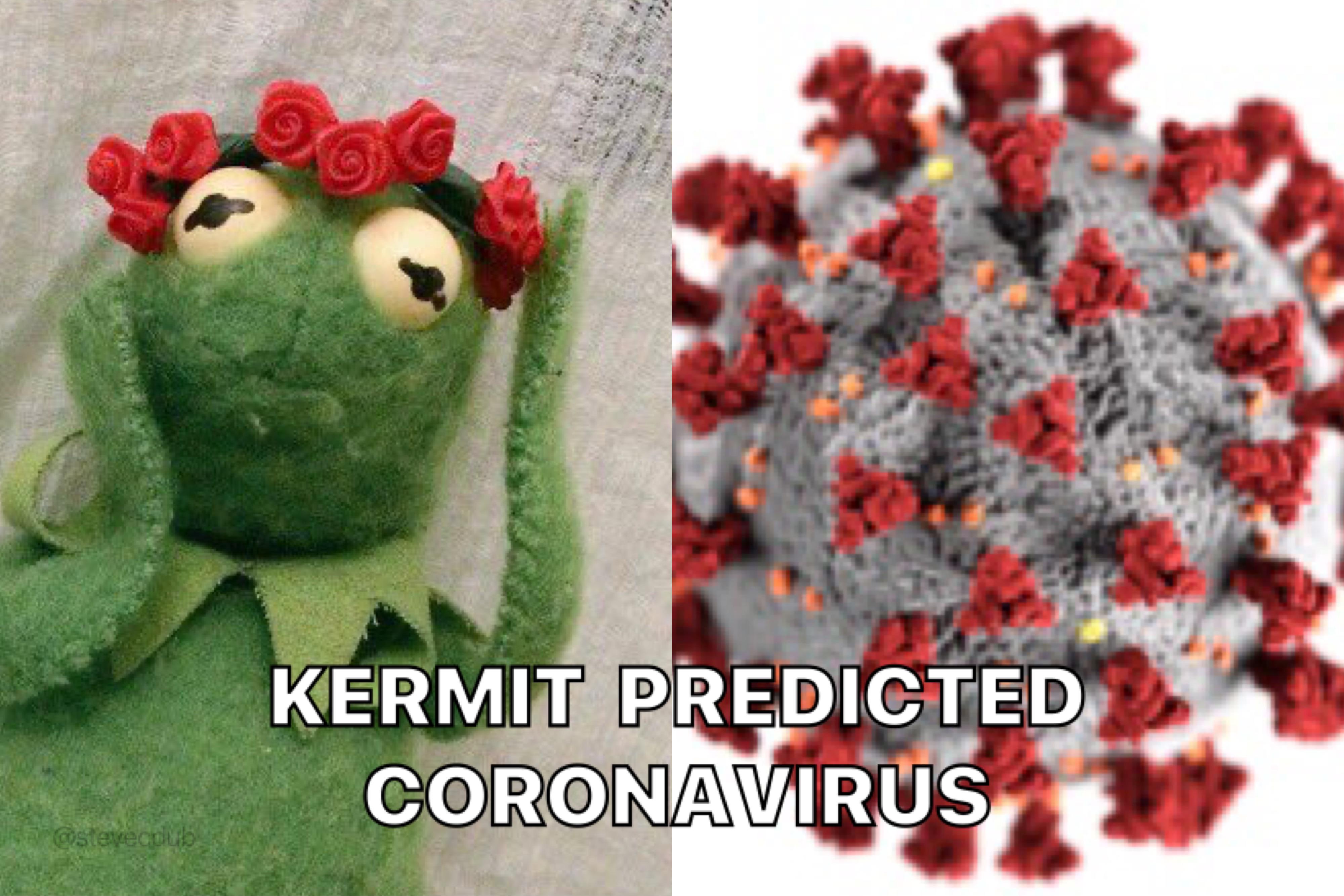 Kermit wearing a crown. Corona = crown 😳 | Scrolller