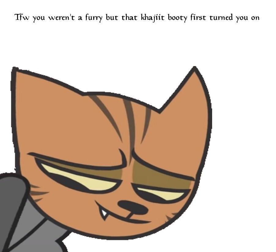 Khajiit🤣irl | Scrolller