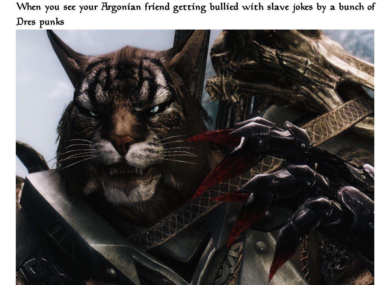Khajiit🧝🏿‍♂️irl | Scrolller