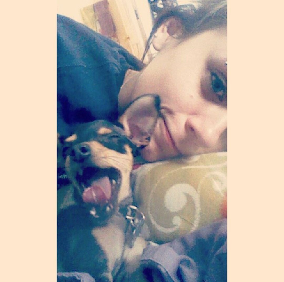 Kilo the puppy | Scrolller