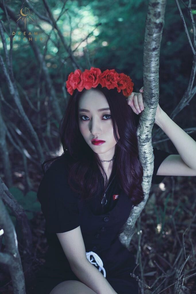 Kim Bora | Scrolller