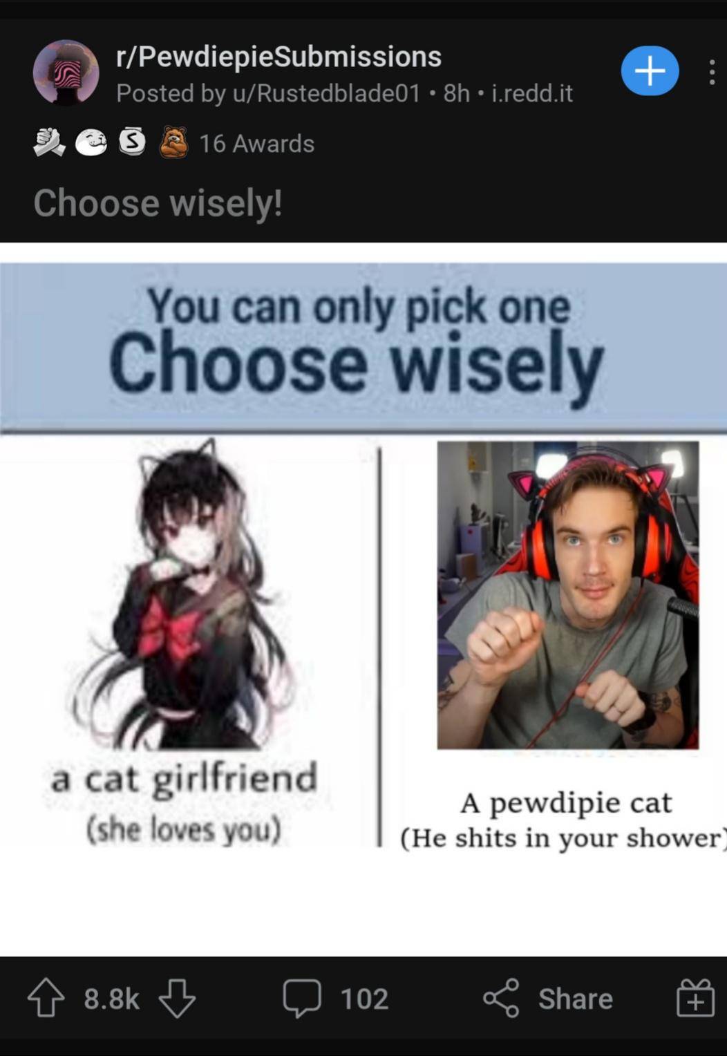 Kinda explains everything | Scrolller