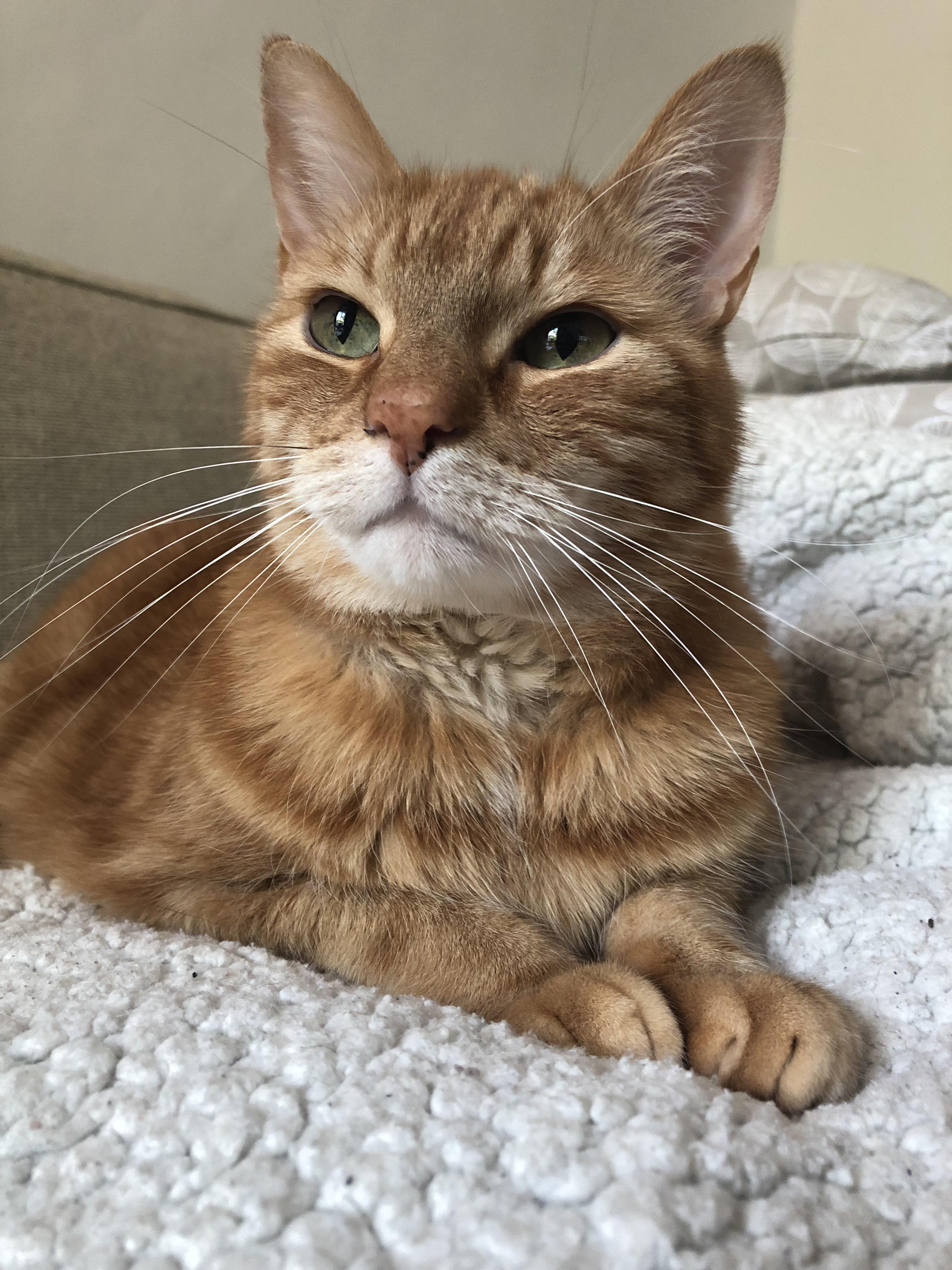 King Casper | Scrolller