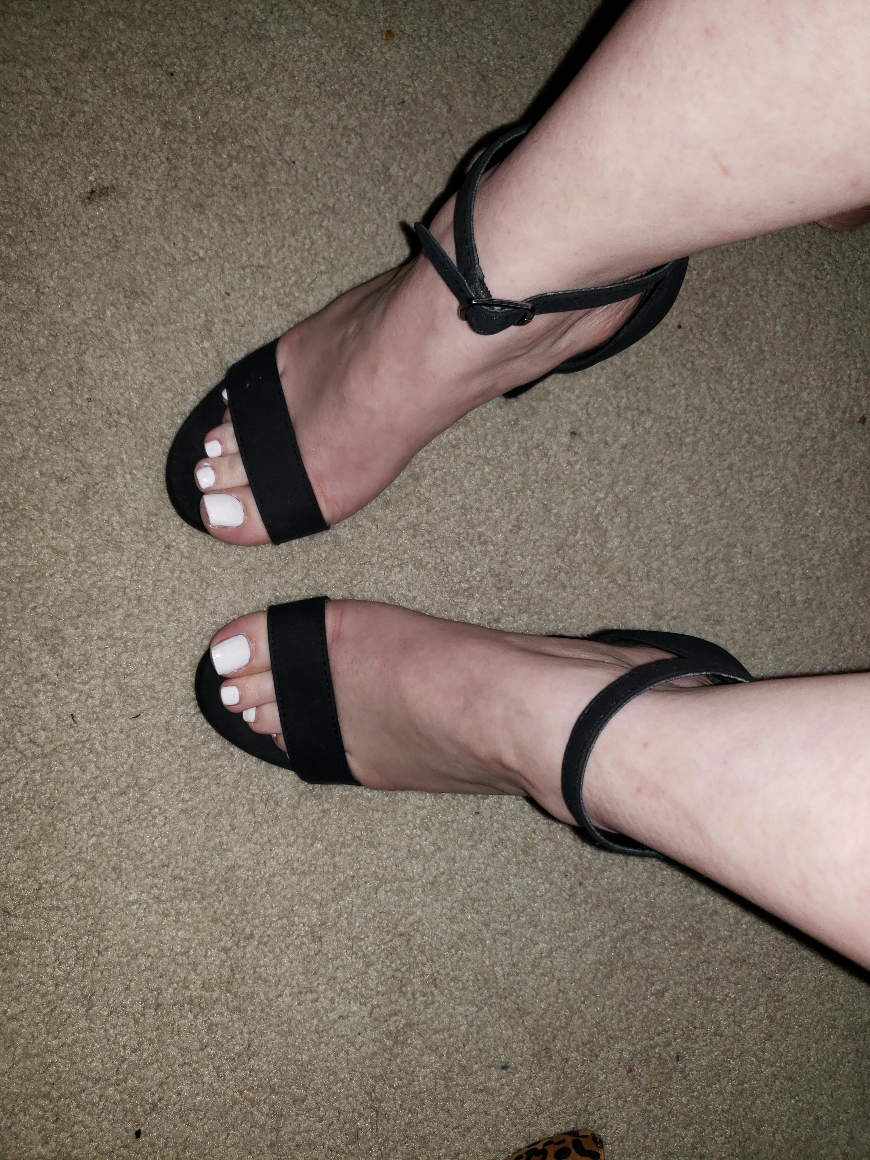 Kiss them my little lambs | Scrolller