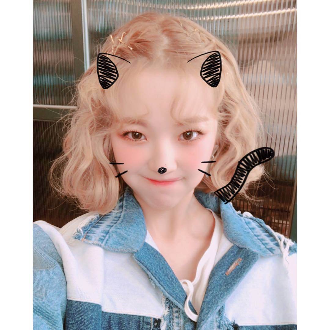 Kitten Jiheon | Scrolller
