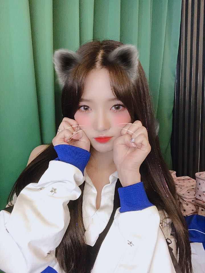 Kitten Jisun | Scrolller