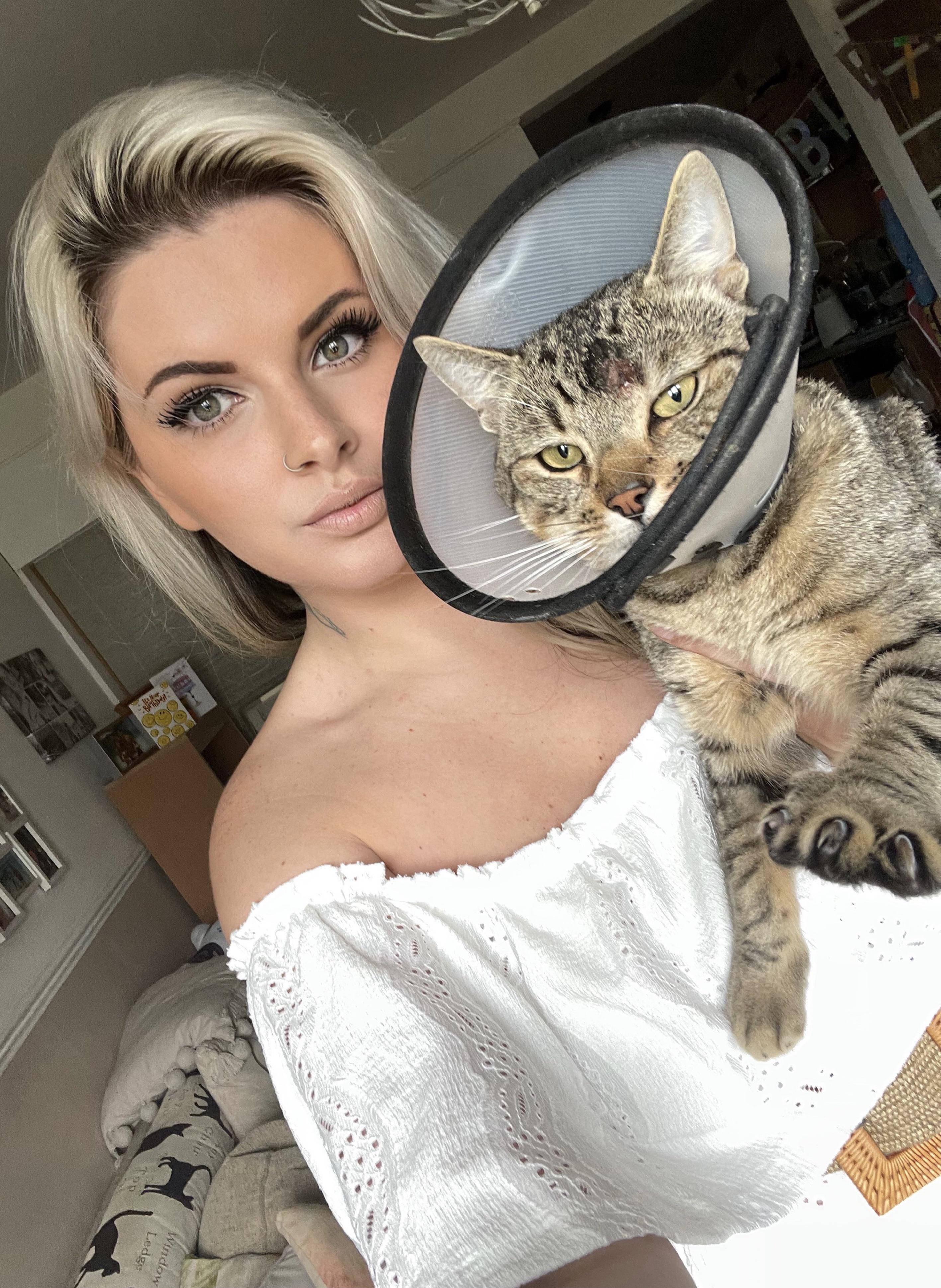 Kitty selfie 🐱 | Scrolller