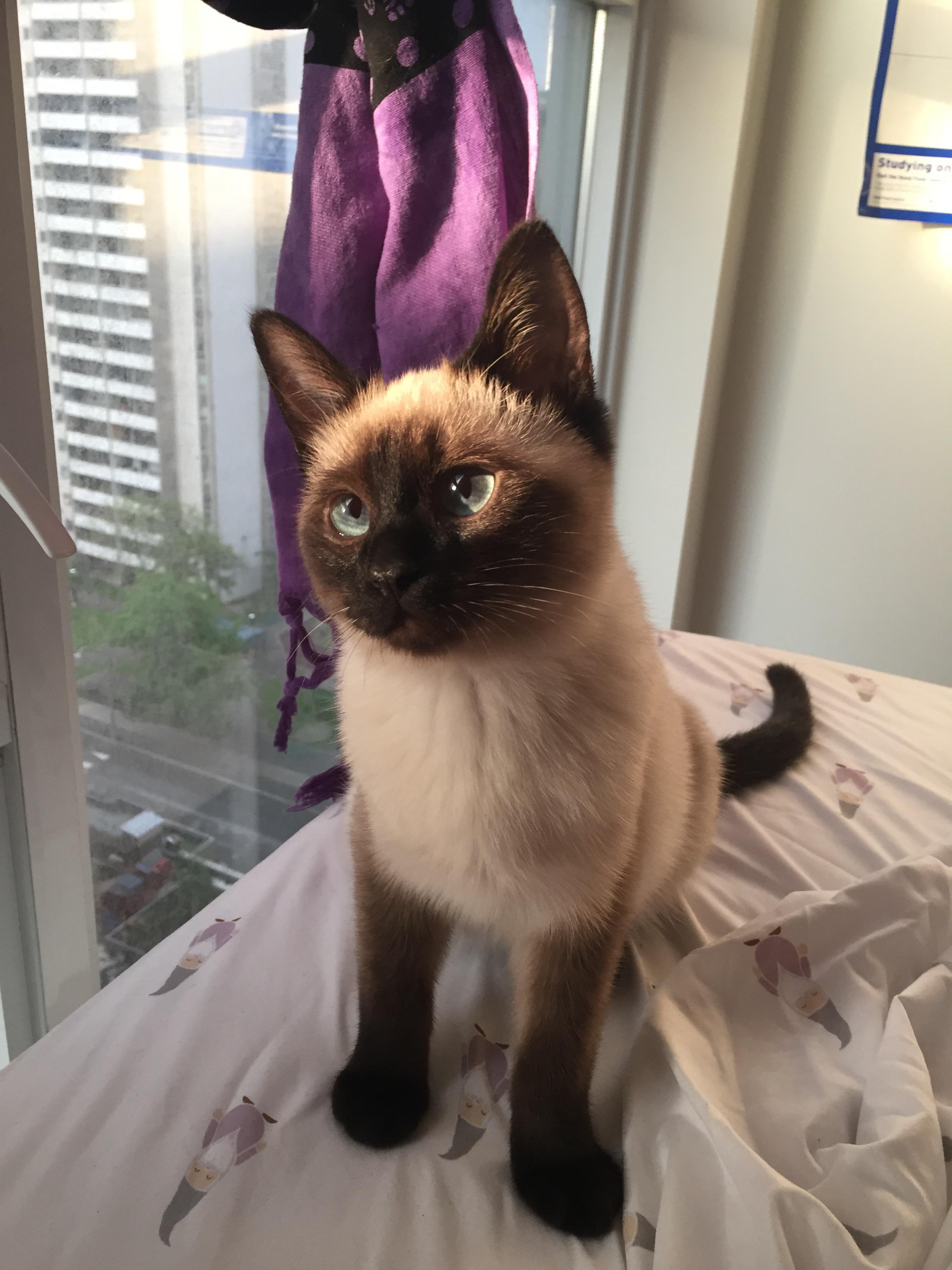 klaus is the most handsome boy | Scrolller