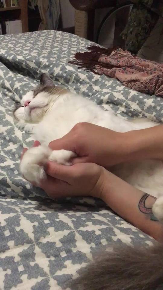 kneady ........um .......human ??? | Scrolller