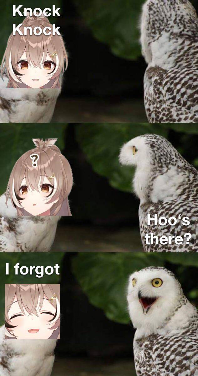 Knock Knock | Scrolller