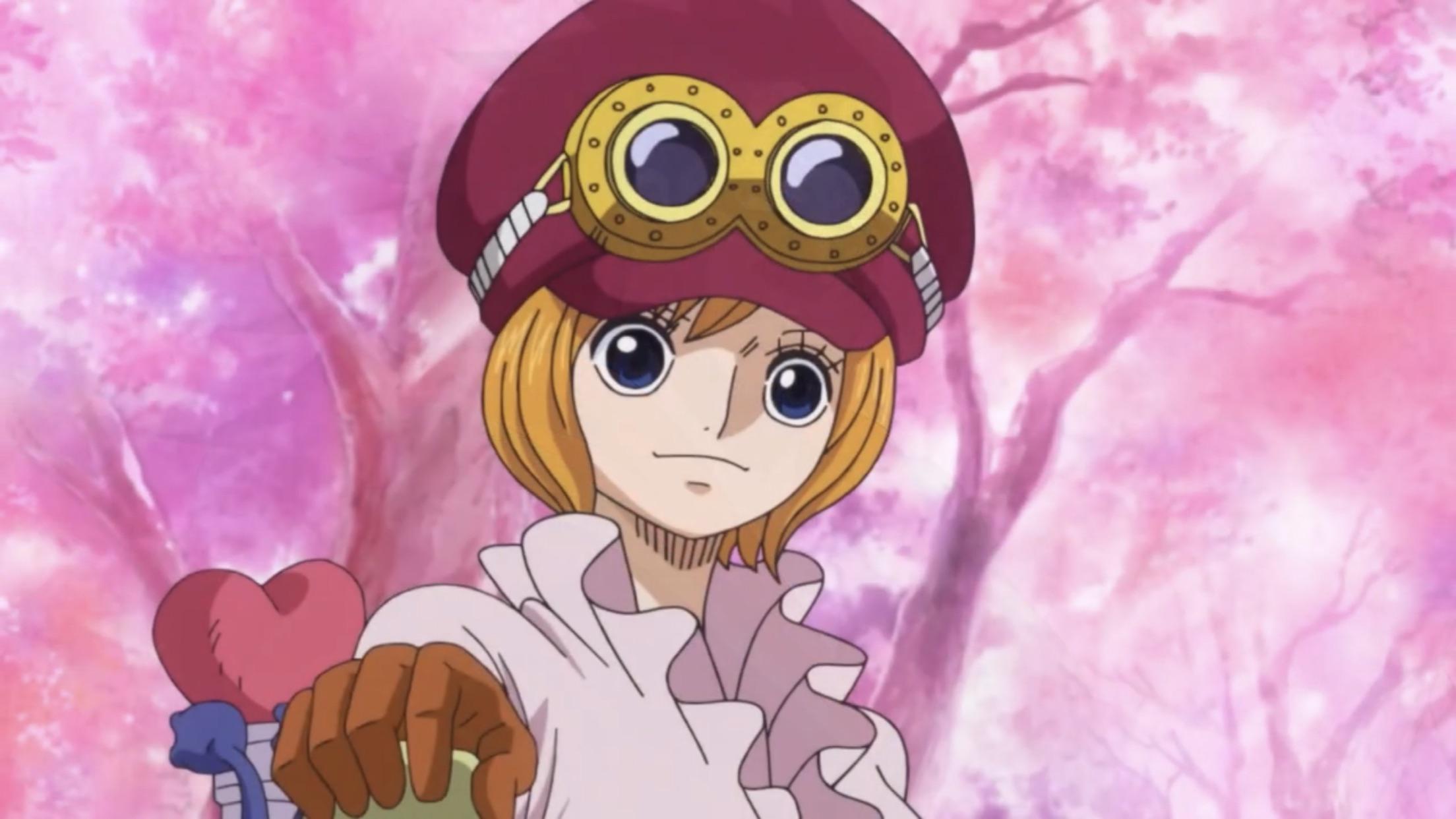 Koala from One Piece | Scrolller