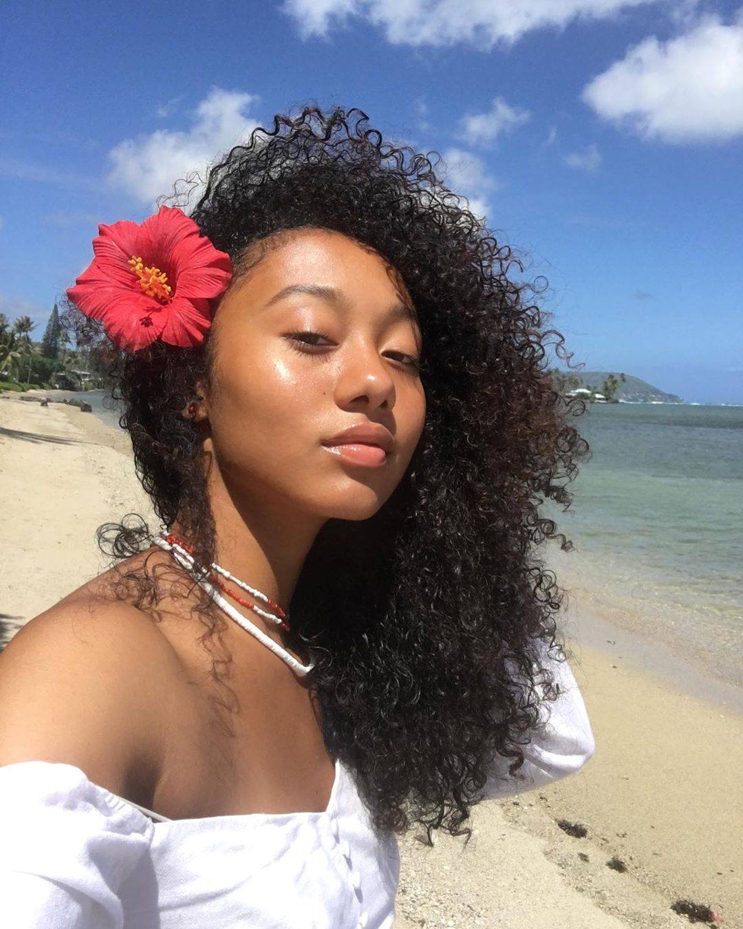 Korean / African American | Scrolller