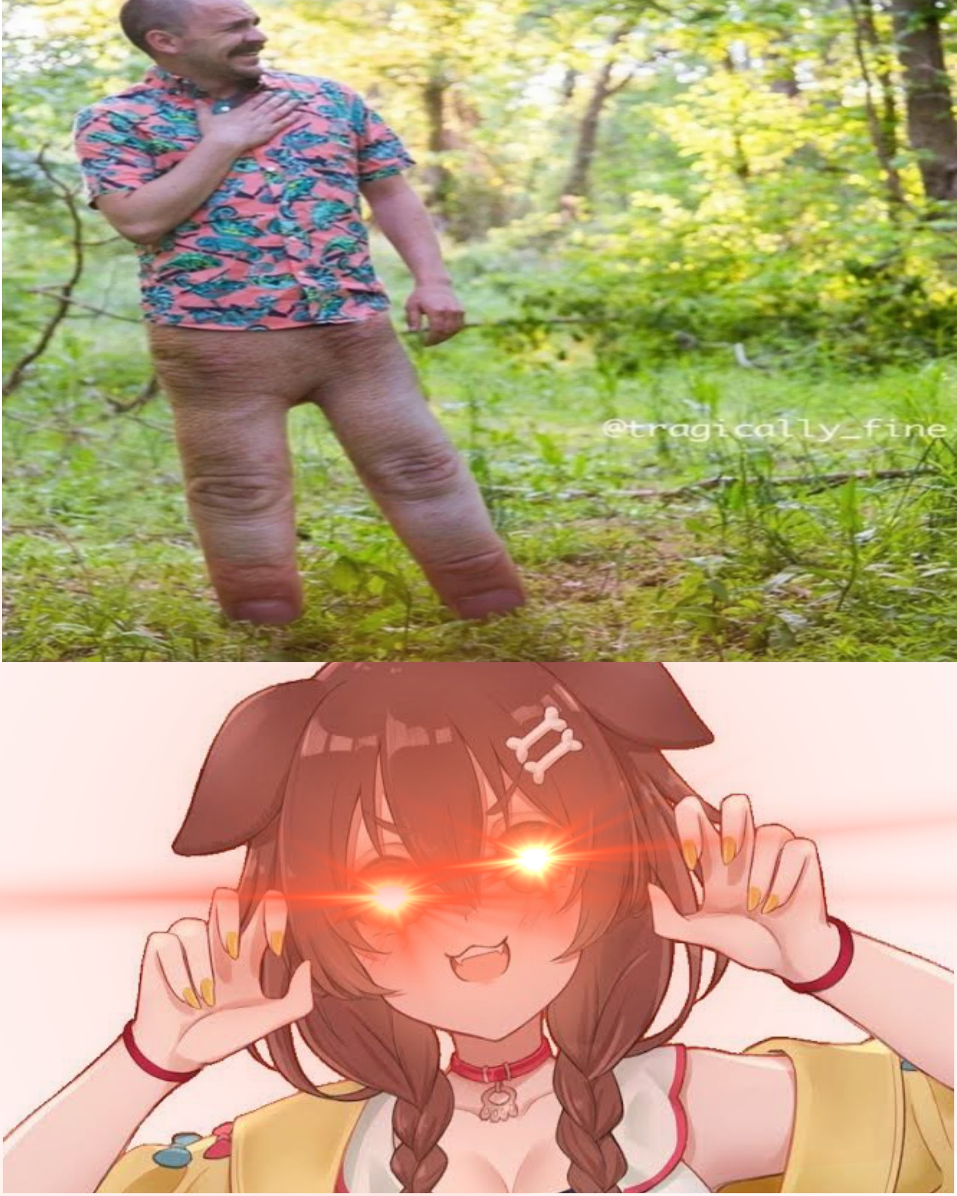 Korone's ultimate dream | Scrolller