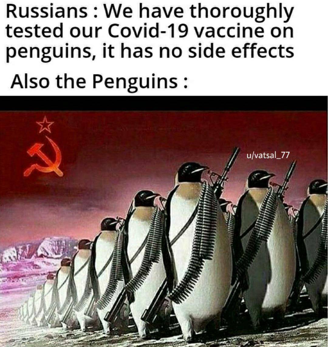 Kowalski, analysis | Scrolller