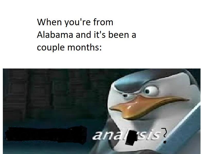 Kowalski Analysis? | Scrolller