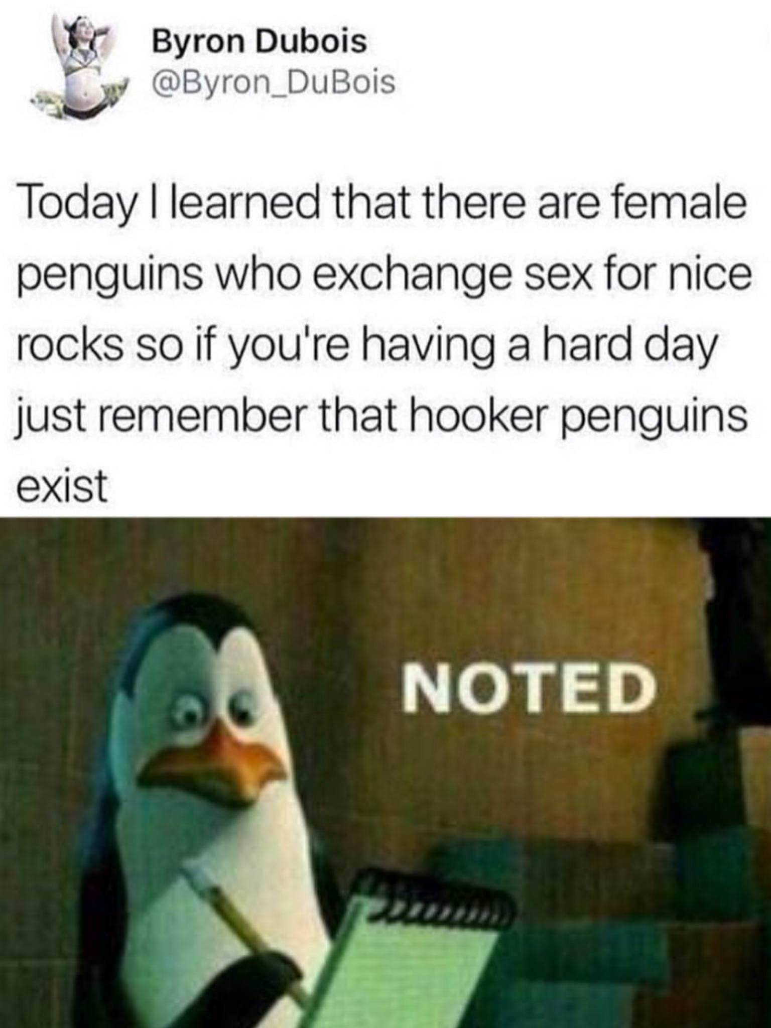 Kowalski, analysis | Scrolller