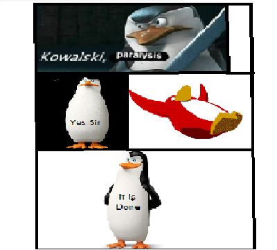 Kowalski, Paralysis | Scrolller