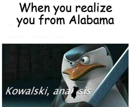 Kowalski, we need to talk | Scrolller