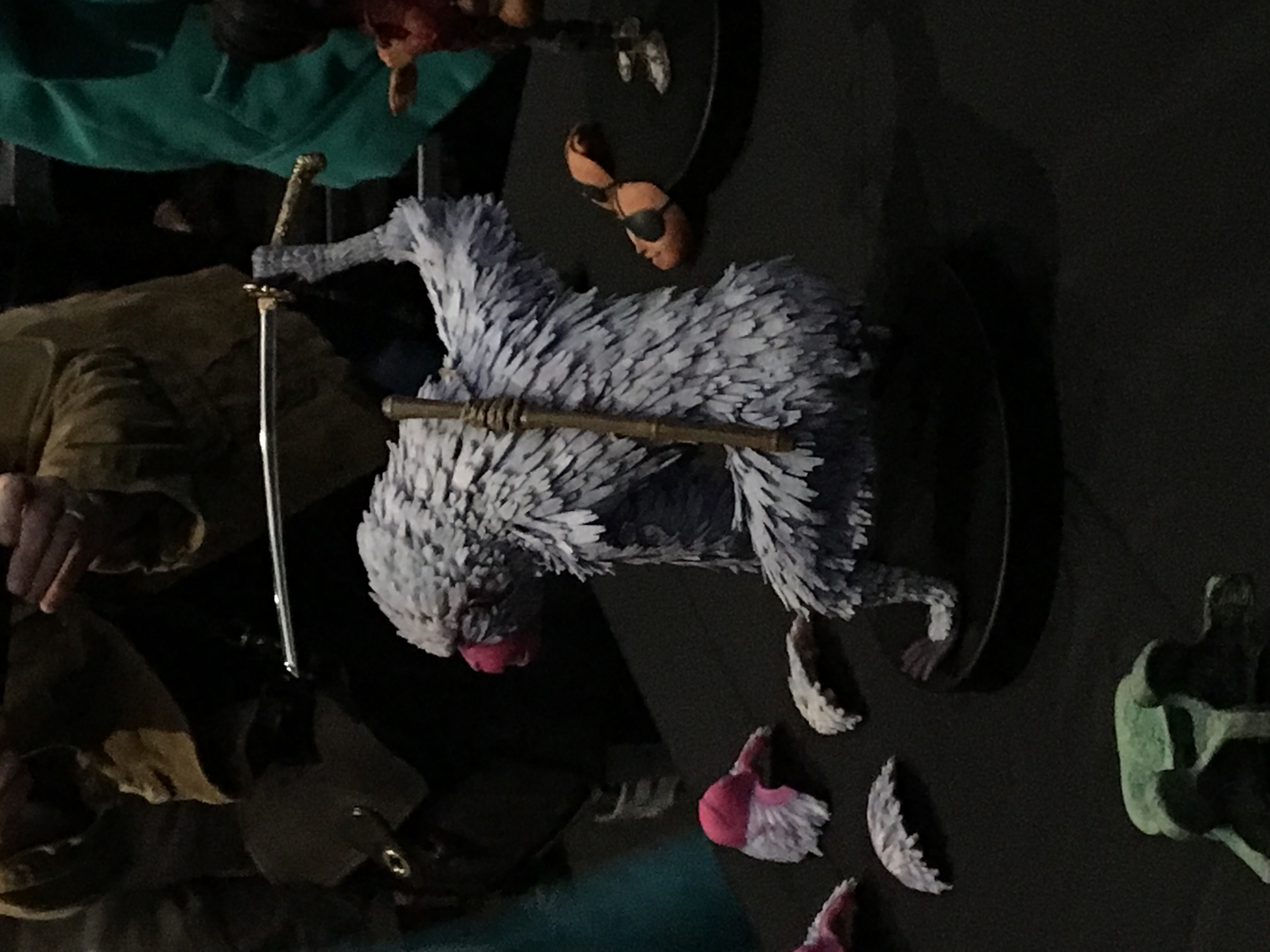 kubo and the three porkchops: story from q&a | Scrolller