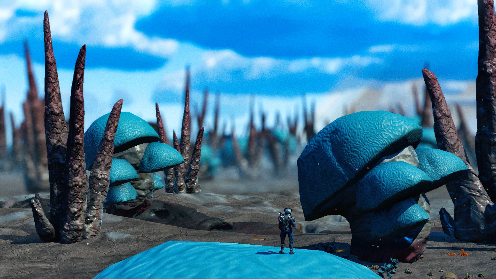 Lactarius Indigo | Scrolller