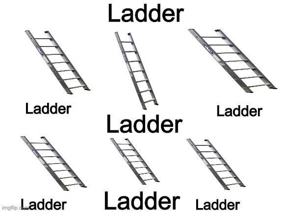 ladder ladder ladder ladder ladder ladder ladder | Scrolller