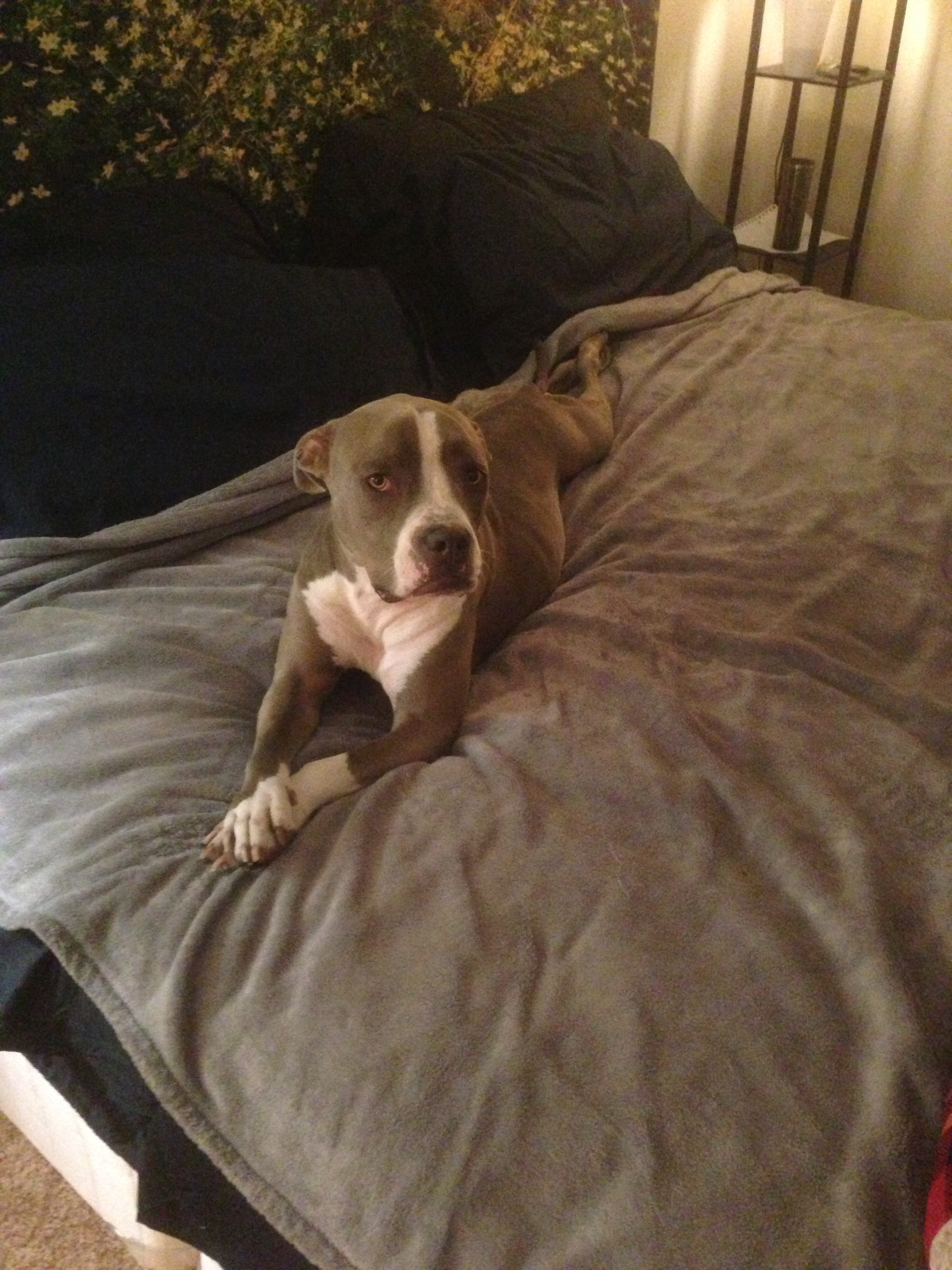 Lady crossing all 4 of her legs | Scrolller