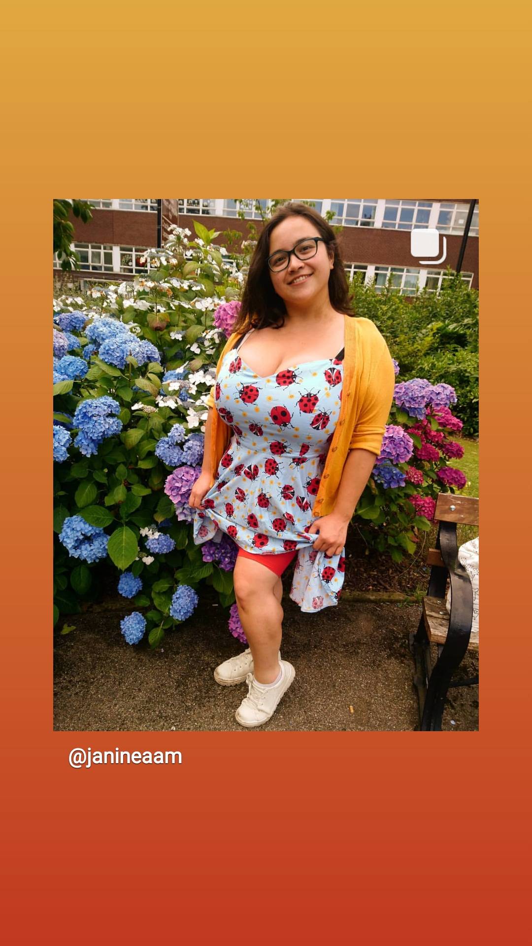 Ladybugs and flowers 5 | Scrolller