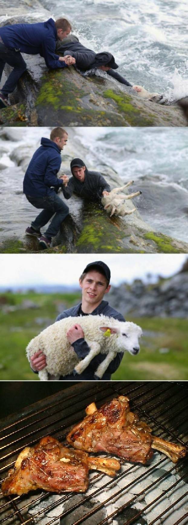 Lamb drowns in sauce | Scrolller